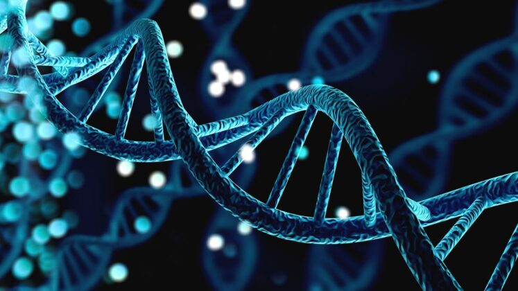 Νέο DNA τεστ βελτιώνει τη διάγνωση σπάνιων γενετικών διαταραχών - Cibum
